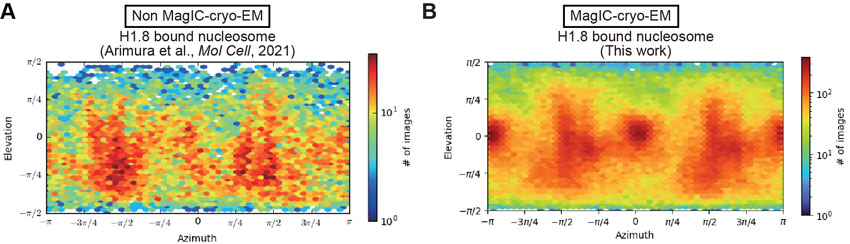 Frequently Ask Questions