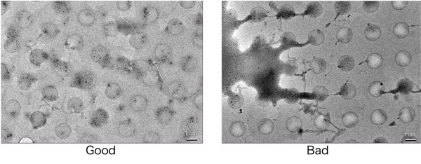 Frequently Ask Questions