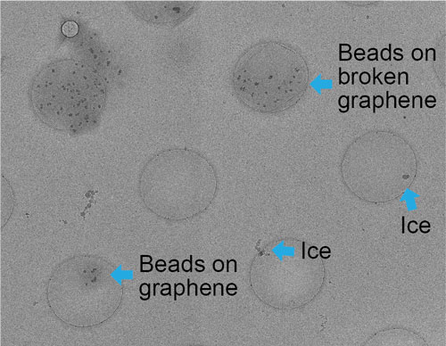 7: MagIC-cryo-EM Data Collection