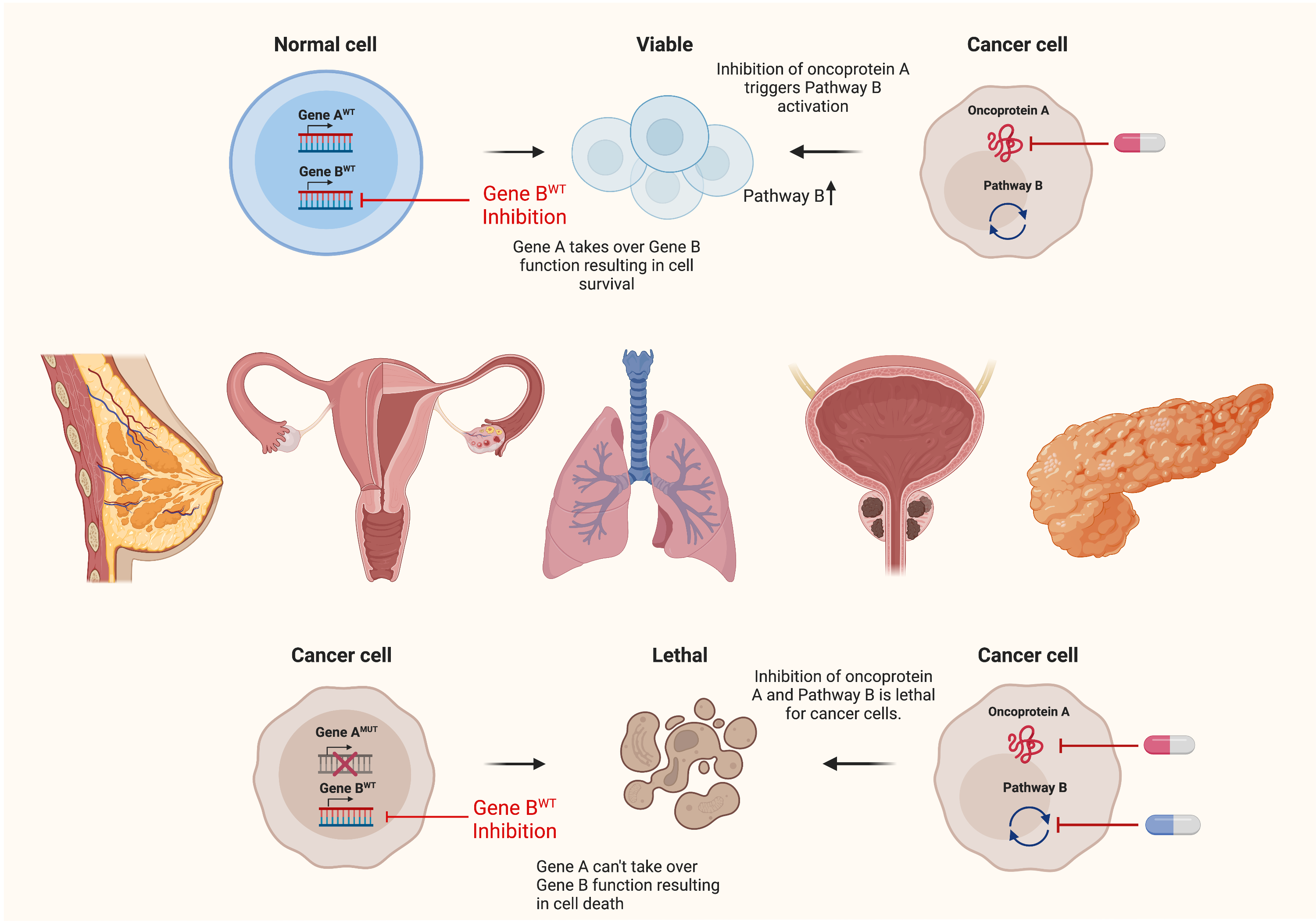 Cancer Genomics, Therapy and Resistance