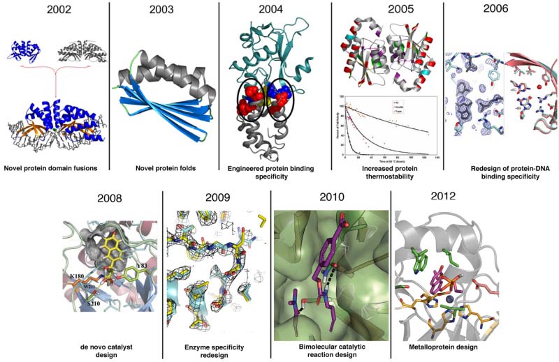 enzyme structure